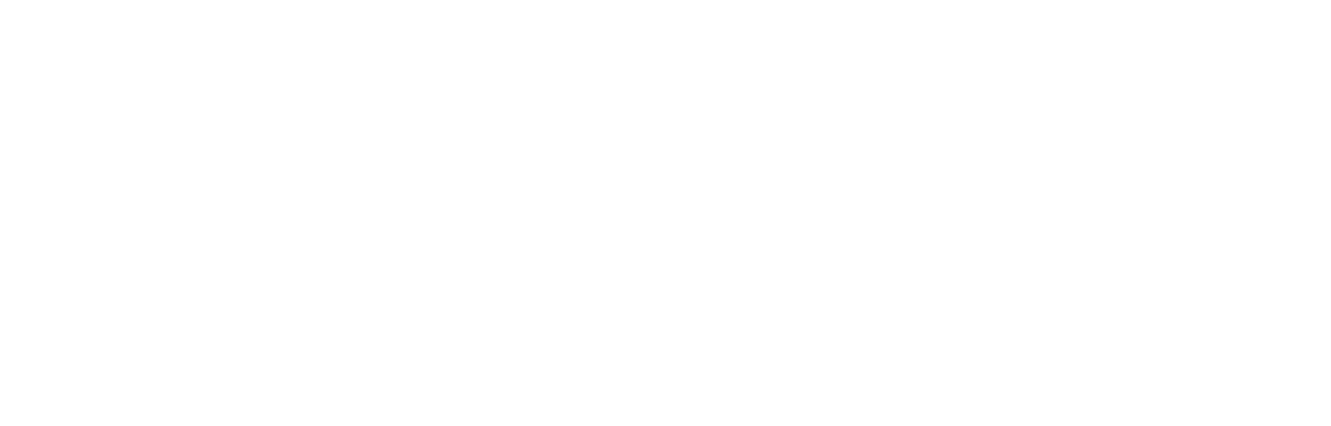 Sistema de Prácticas UDLAP